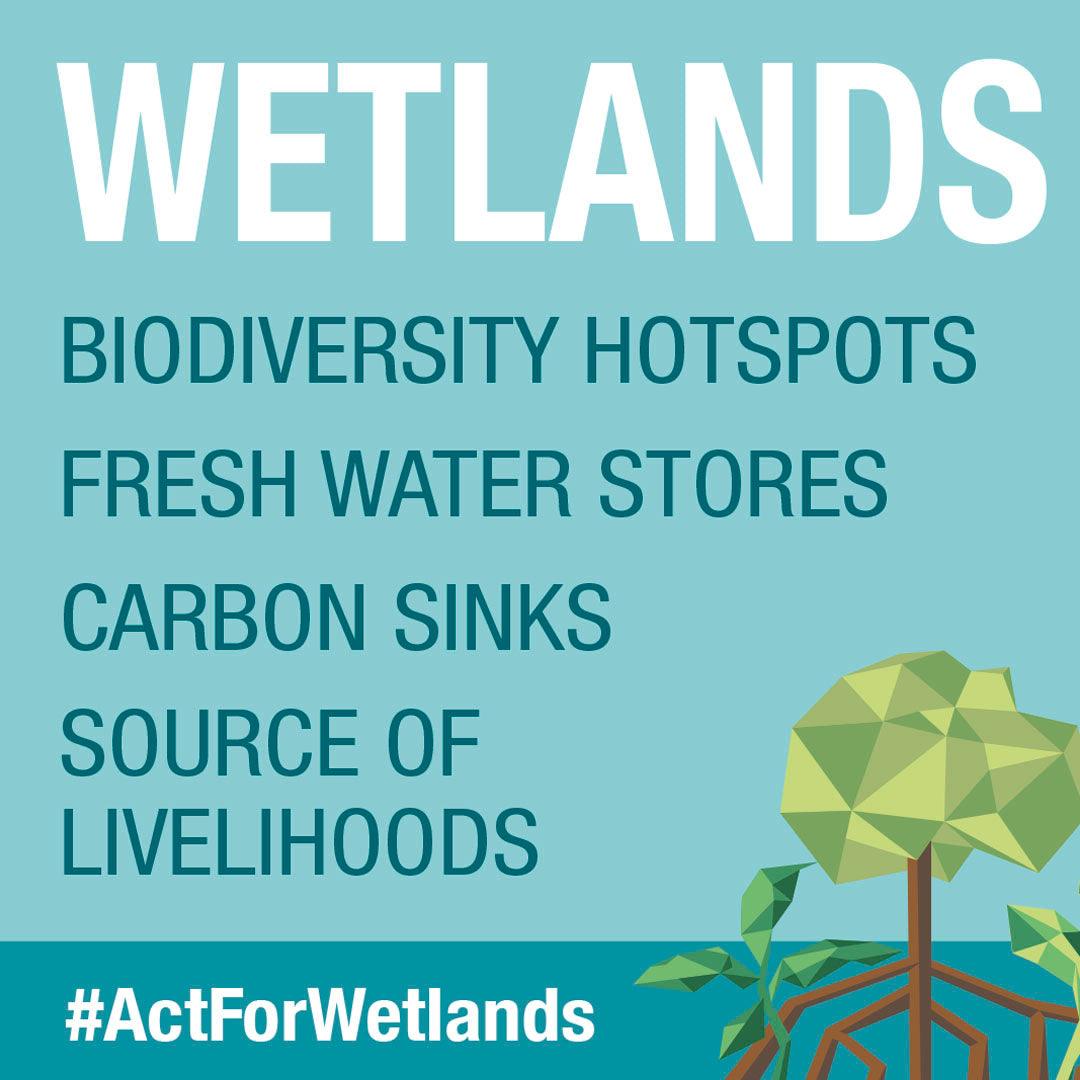 World Wetlands Day 2022 – The Bio Store