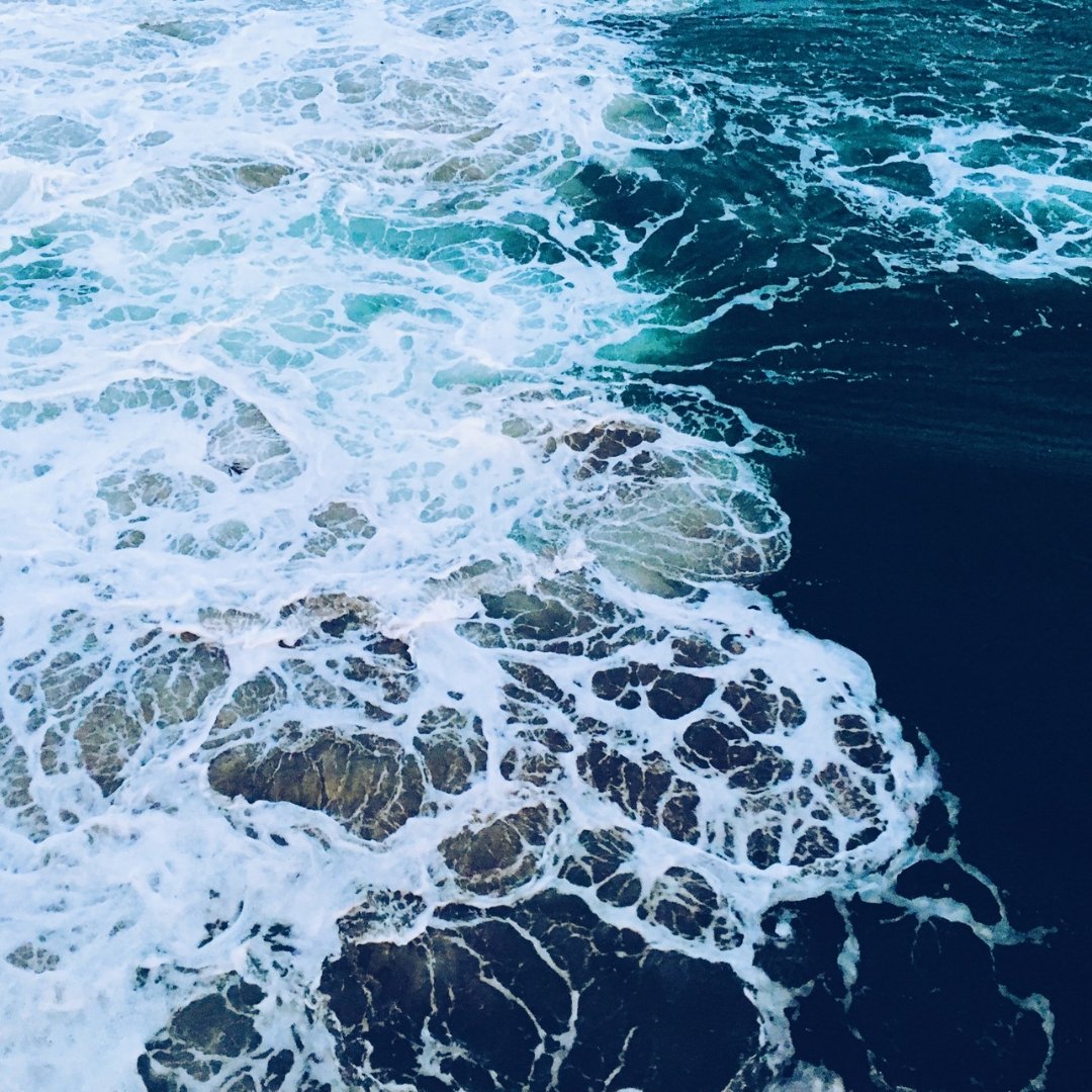 Irish Teenager Wins Google Science Award for Removing Microplastics ...